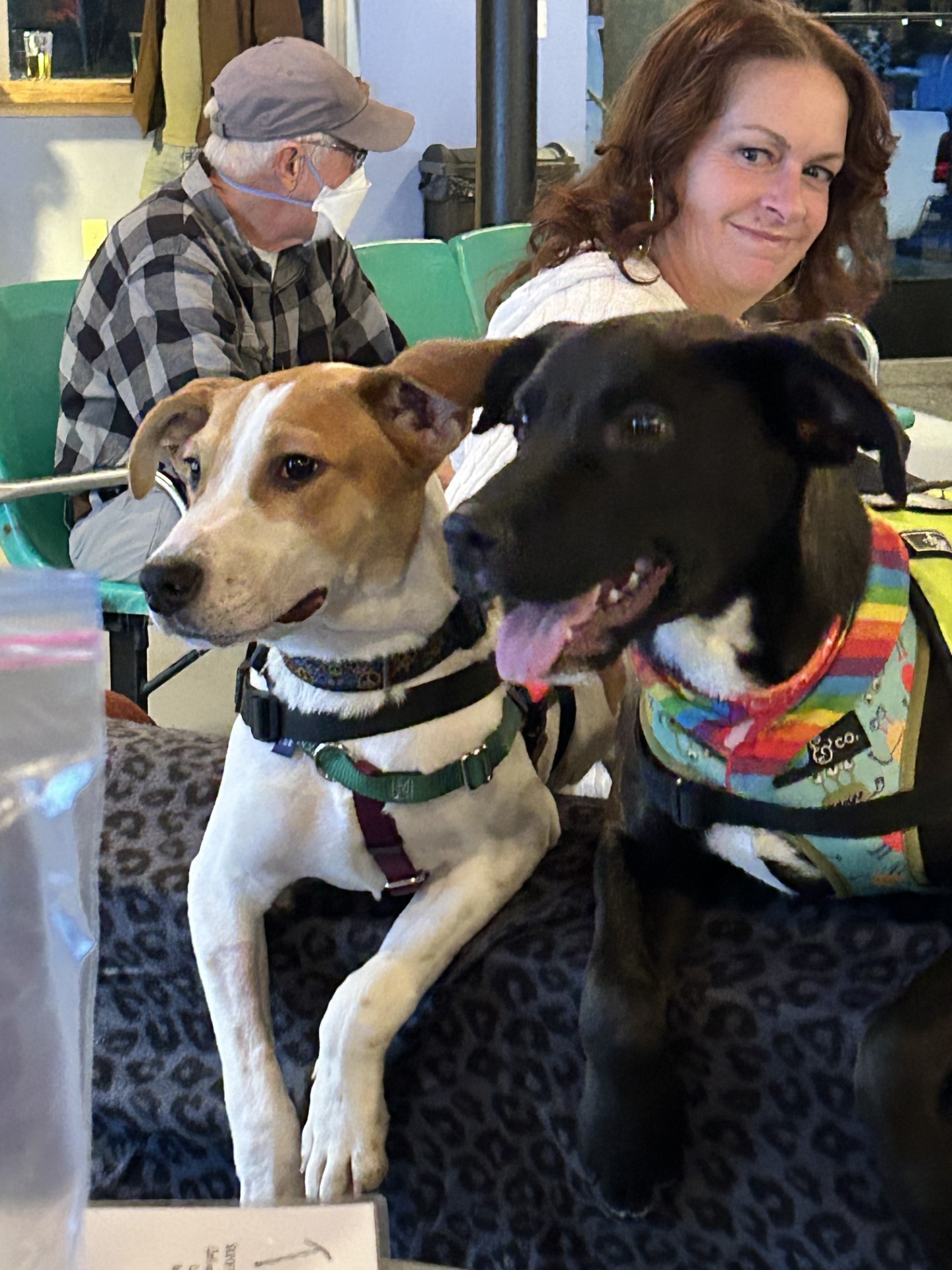 Yancey County Humane Society